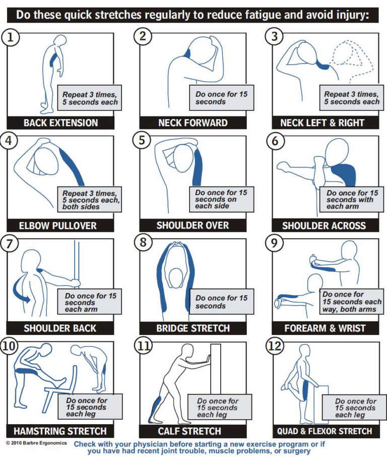 Stretching Guide | Harbour Sport